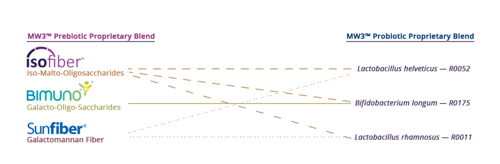 The Importance of IsoFiber in Amare Products